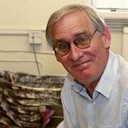 Ian Wood | About | University College London