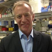 Stephen Pereira | About | University College London