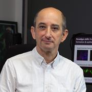 Robert Heyderman | About | University College London