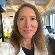 Jennifer Rohn | About | University College London