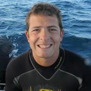 Michael J. Williamson | About | University College London