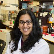 Nihar Bhattacharyya | About | University College London