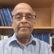 Gopinathan Sankar | Research | University College London